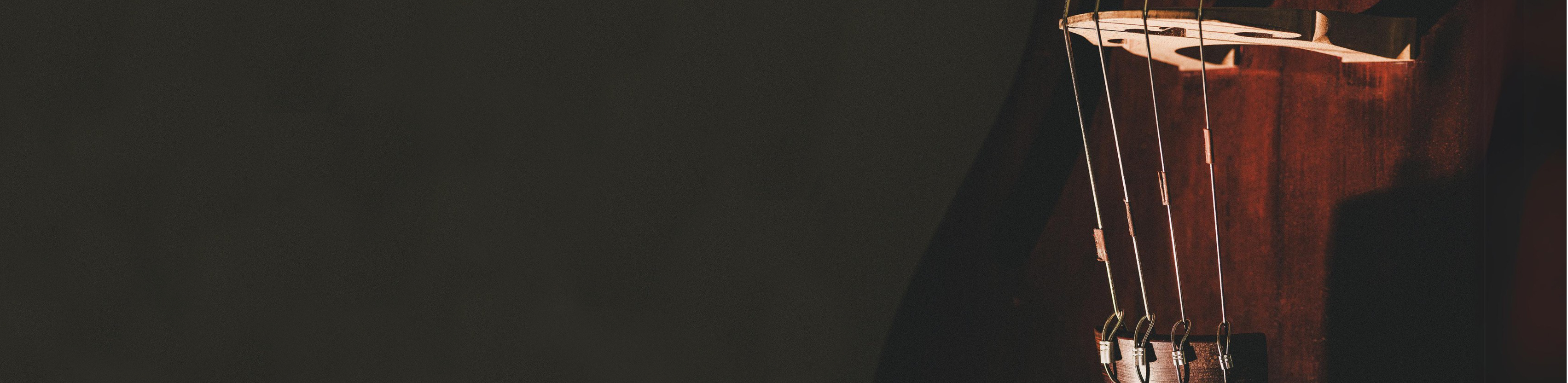 Tempera Strings | BASSO - Orchestra Double Bass Strings